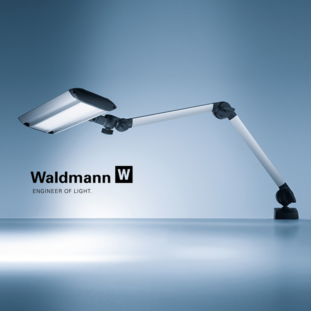 Waldmann lampen