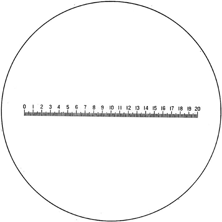 Eschenbach indicator scale, auxiliary equipment for precision scale ...