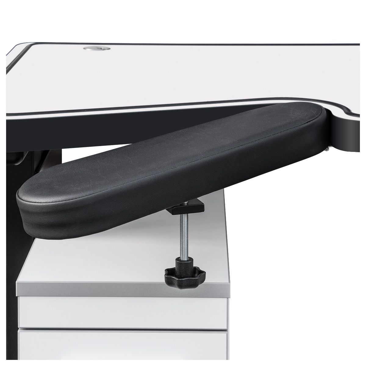 Workbench Ergolift Evolution, bench top 100 x 60 x 4 cm, white | 309770